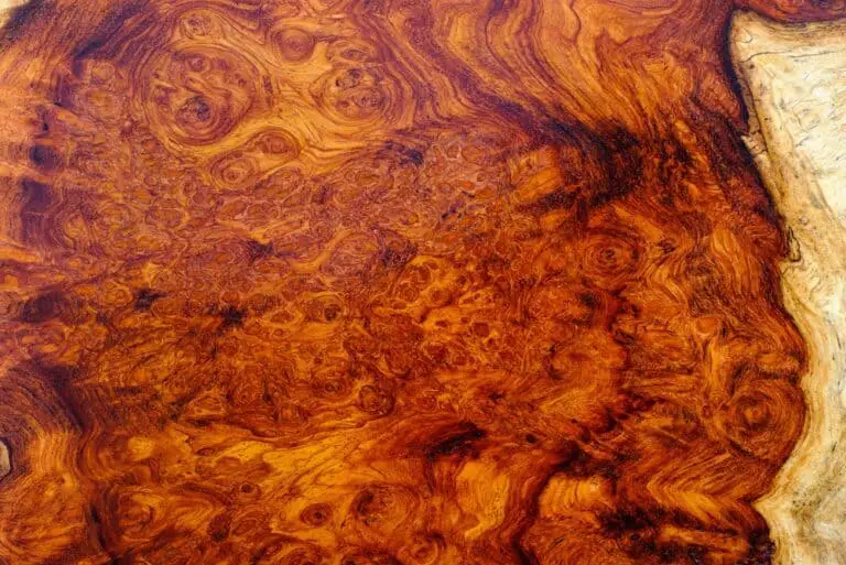 Why Burl Wood - What Is It And Why Is It So Popular For Woodworking